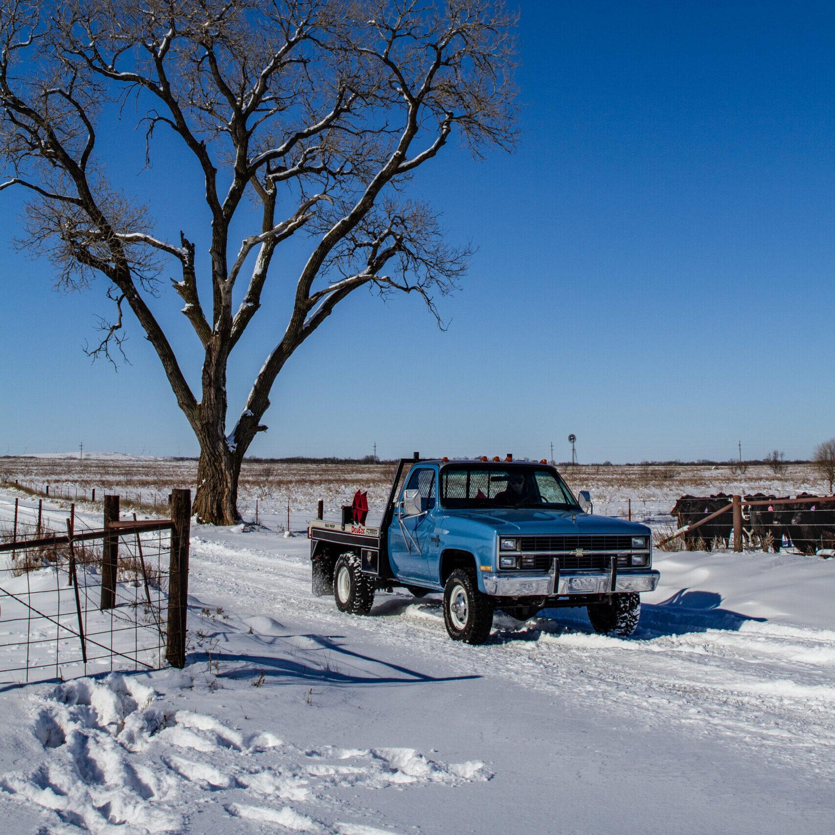 DewEze Announces The Ultimate Vintage Giveaway: Meet Dorothy | Harper ...